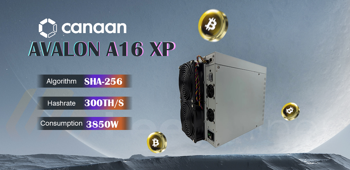 Canaan Avalon A16 XP 300TH/S 3850W BTC Miner - Leed Miner
